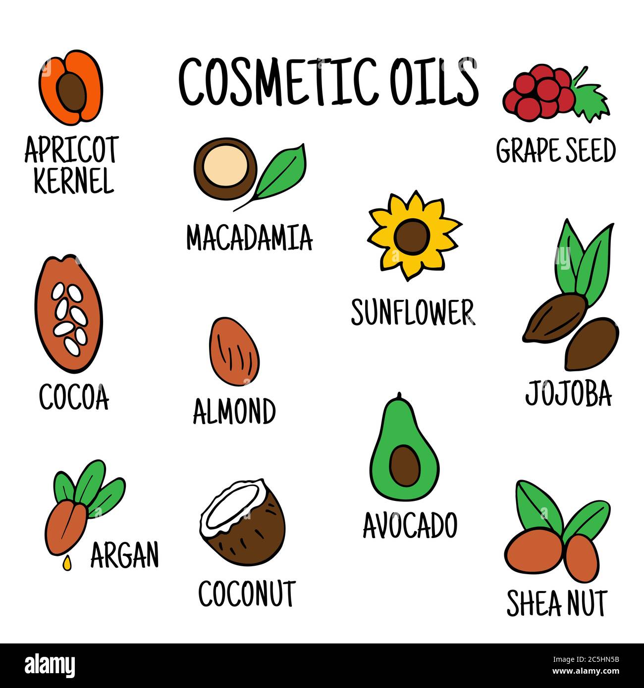 Cosmetic oils. Nuts from which squeeze oils. Nourishing oils for skin ...