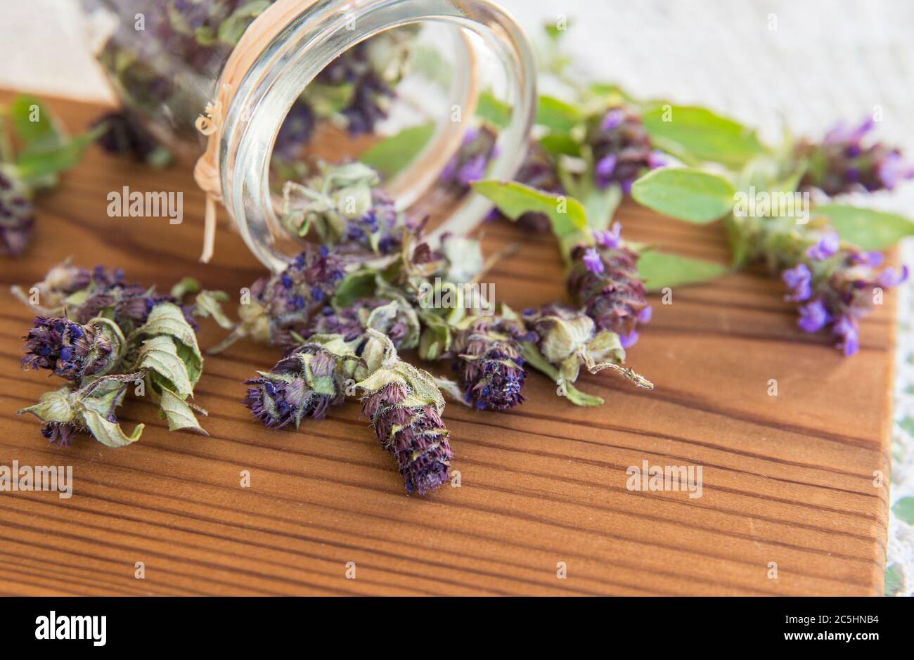 Composition of Prunella vulgaris (known as common self-heal, heal-all ...
