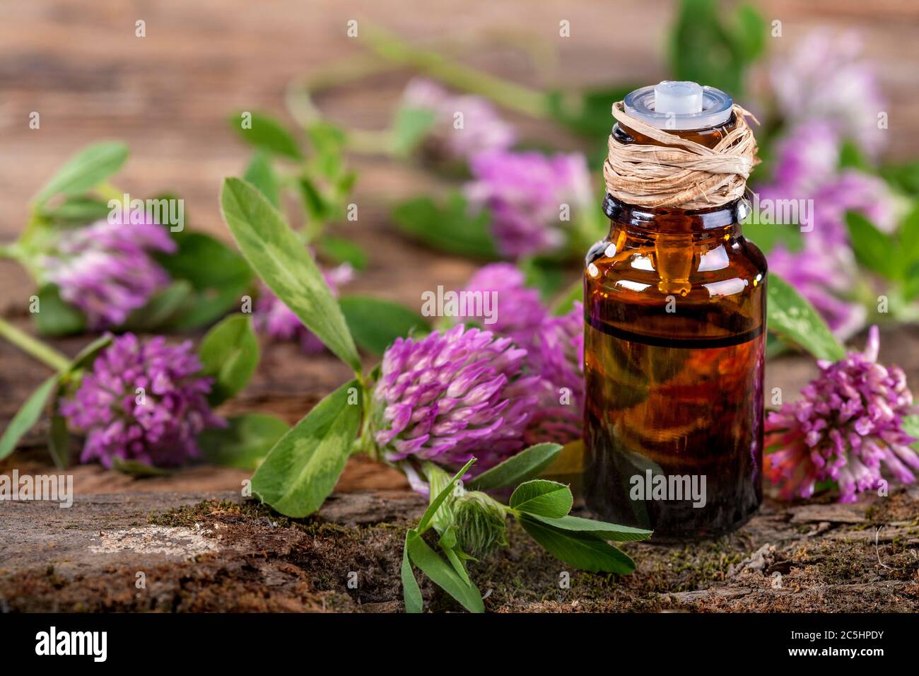 High Resolution Doterra Images