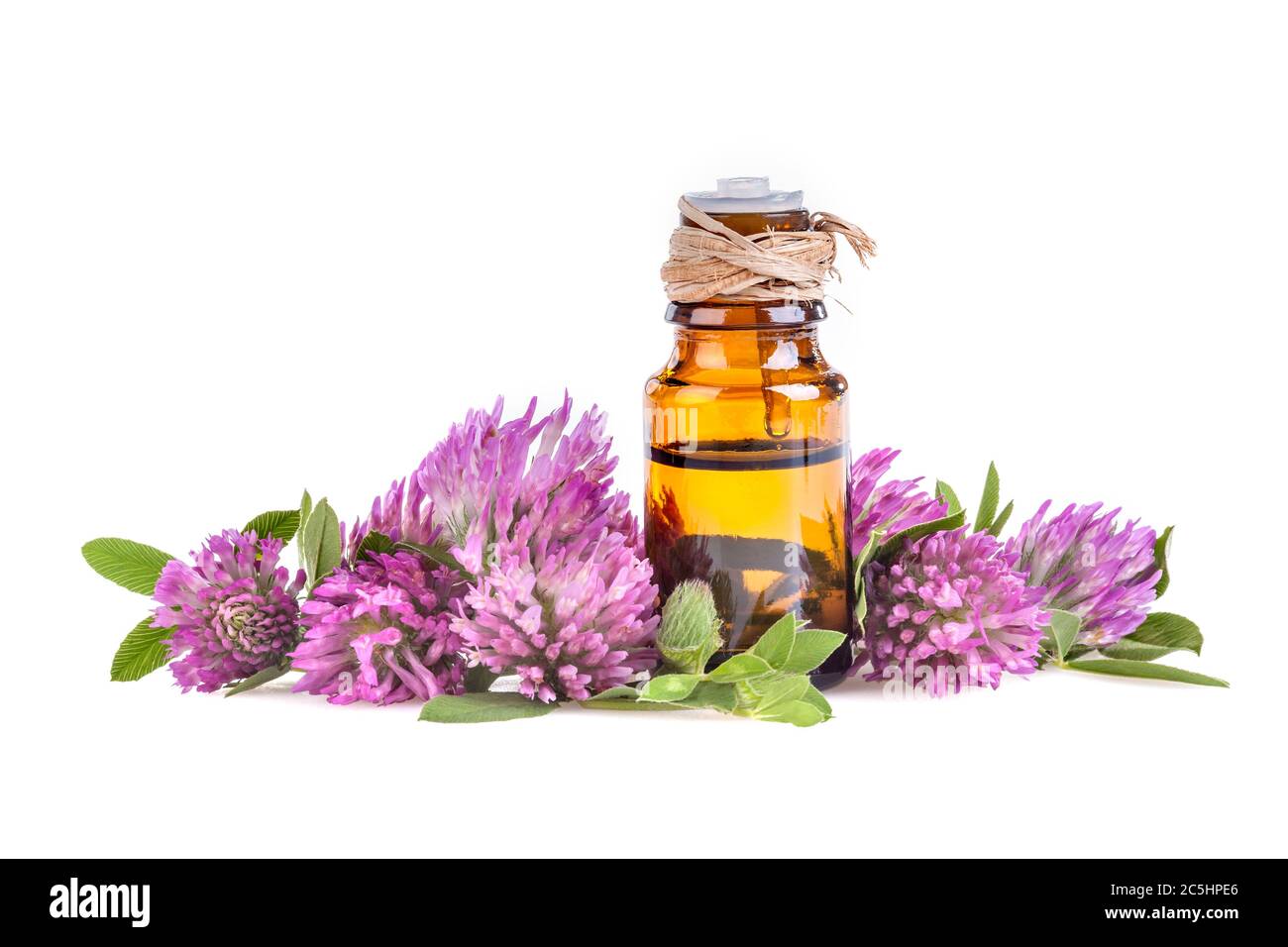 High Resolution Doterra Images