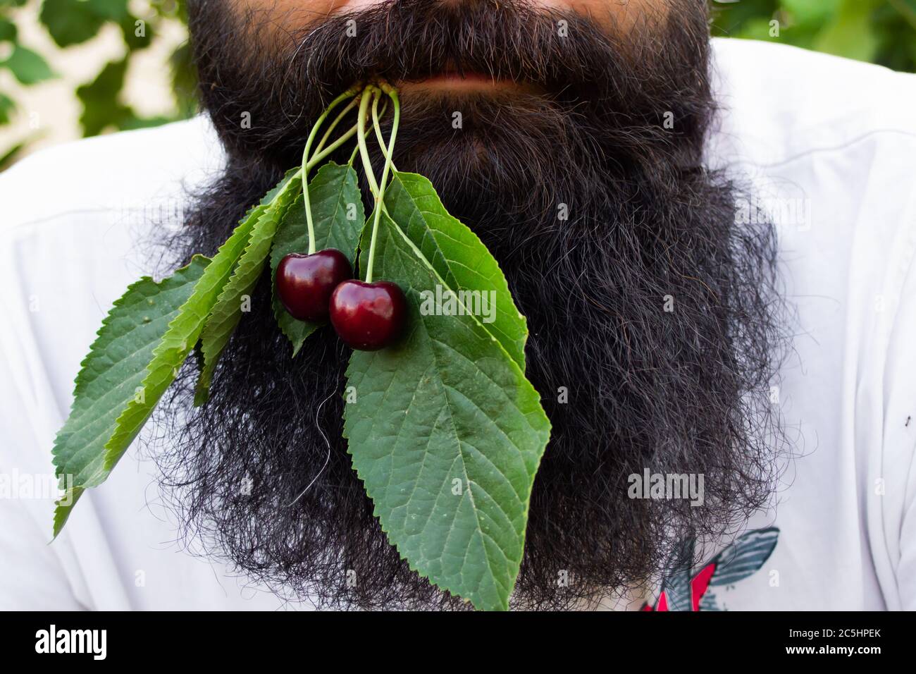 Red cherry with a green petal on a long black beard of a man Stock ...