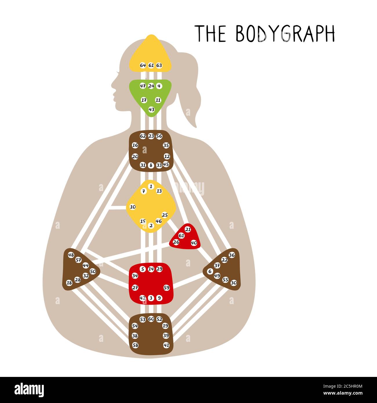 Human design bodygraph hi-res stock photography and images - Alamy