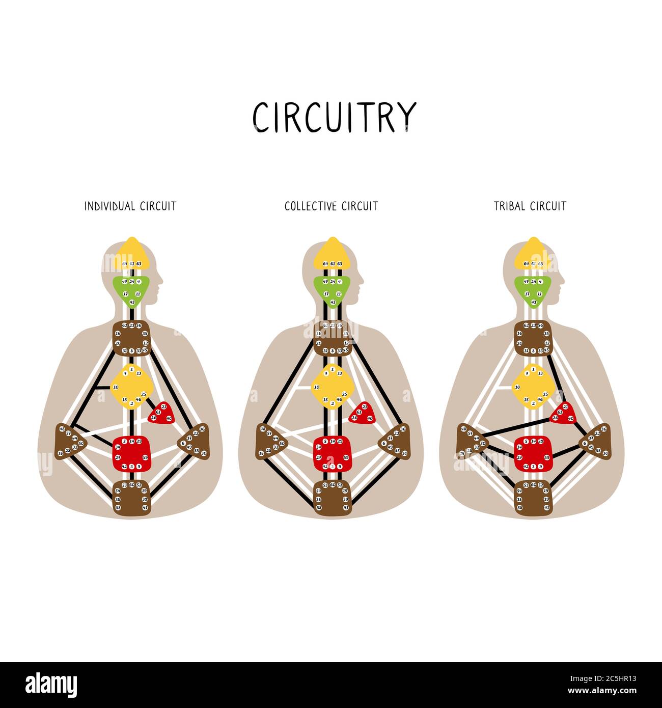 Circuitry. Human Design BodyGraph. Hand drawn bodygraph chart design ...