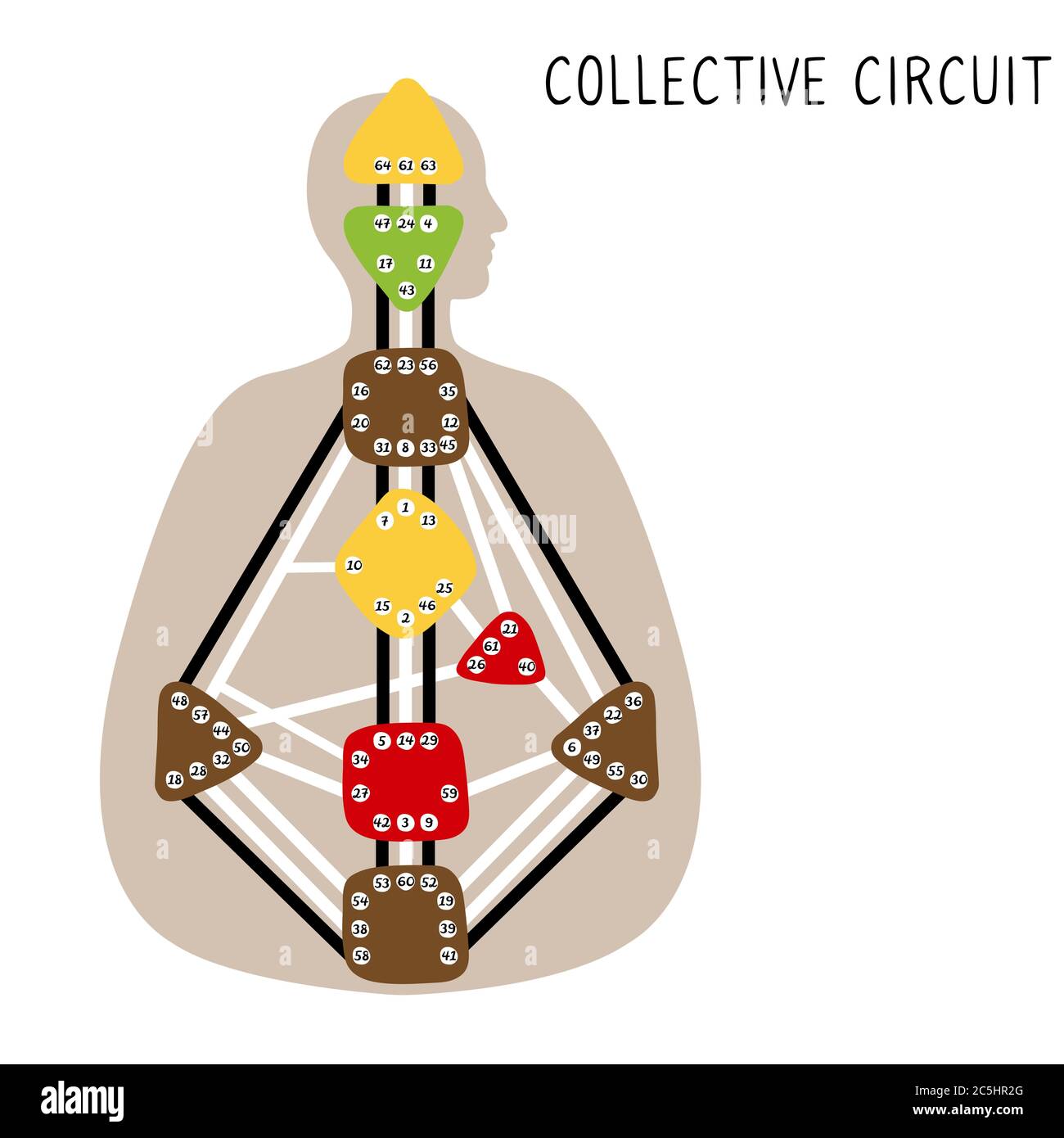 Collective Circuitry. Human Design BodyGraph. Hand drawn bodygraph ...