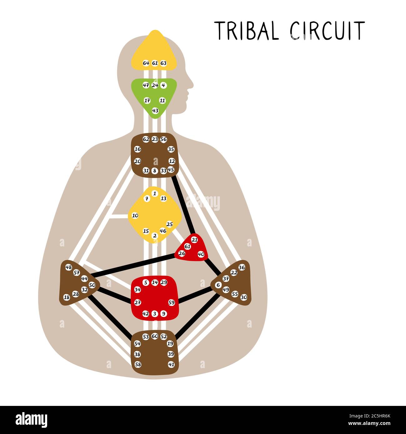 Tribal Circuitry. Human Design BodyGraph. Hand drawn bodygraph chart ...