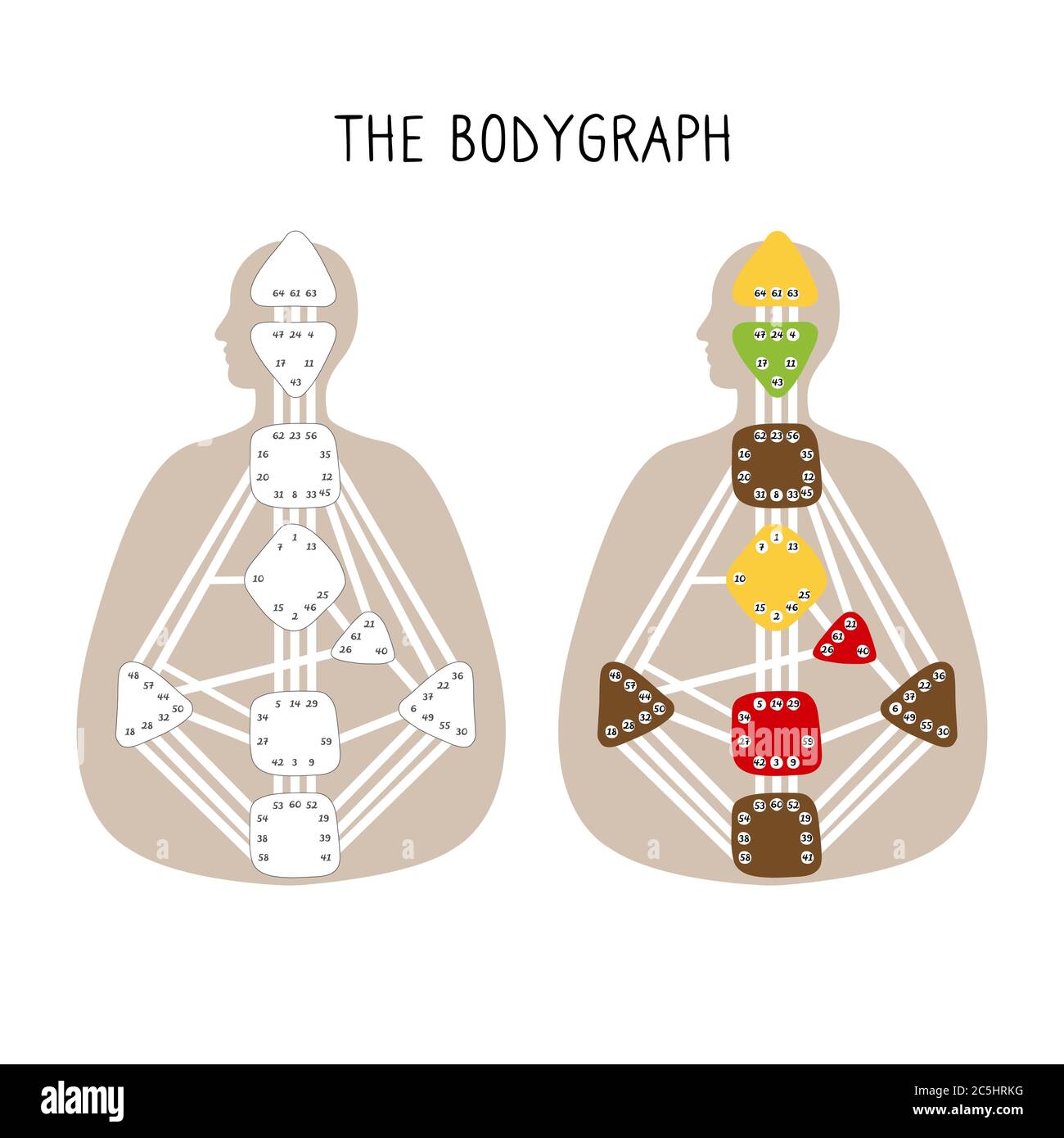 Human design bodygraph hi-res stock photography and images - Alamy