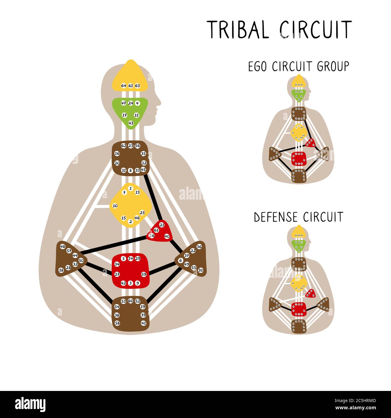 Tribal Circuitry. Human Design BodyGraph. Hand drawn bodygraph chart ...