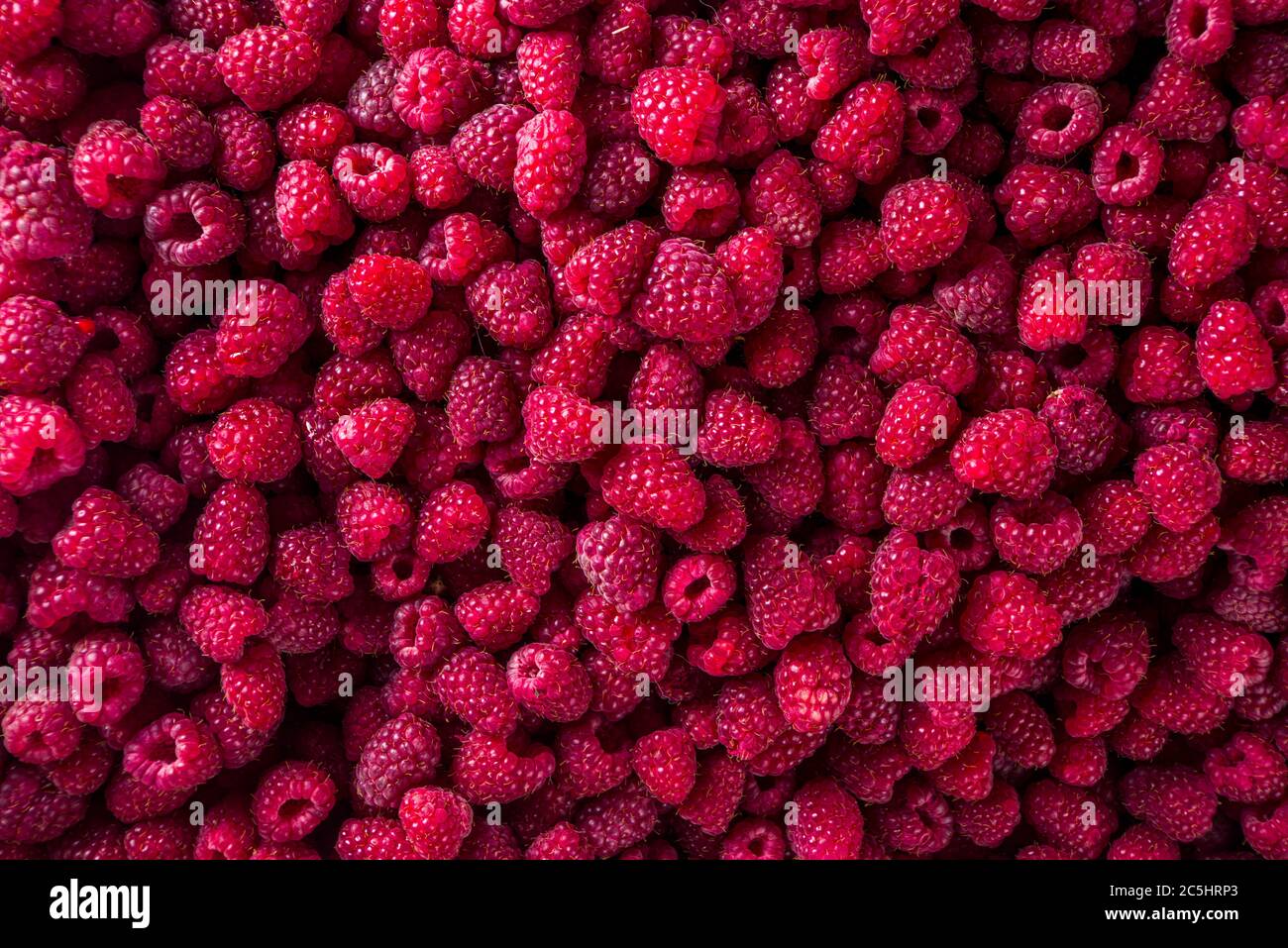 Fresh organic raspberries. background with many berries raspberry top ...