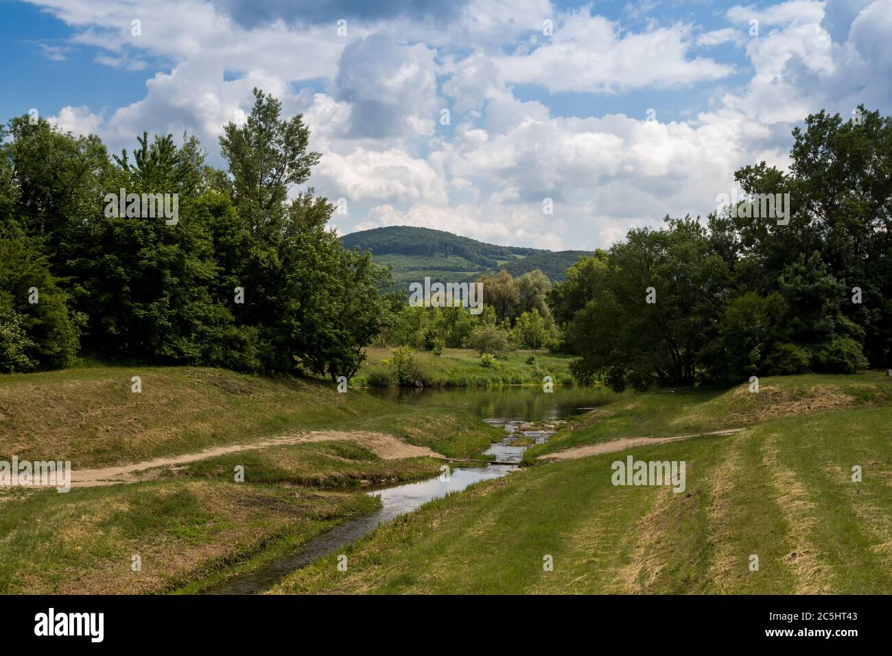 Fresh green color of the leaves and grass in the spring, surrounding ...