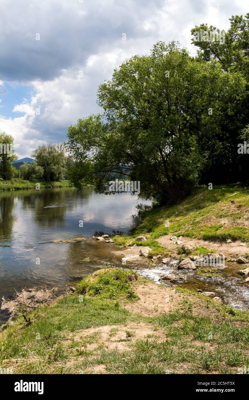 Fresh green color of the leaves and grass in the spring, surrounding ...