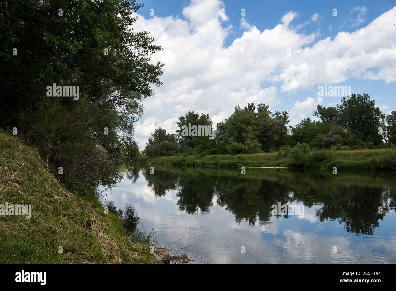 Fresh green color of the leaves and grass in the spring, surrounding ...
