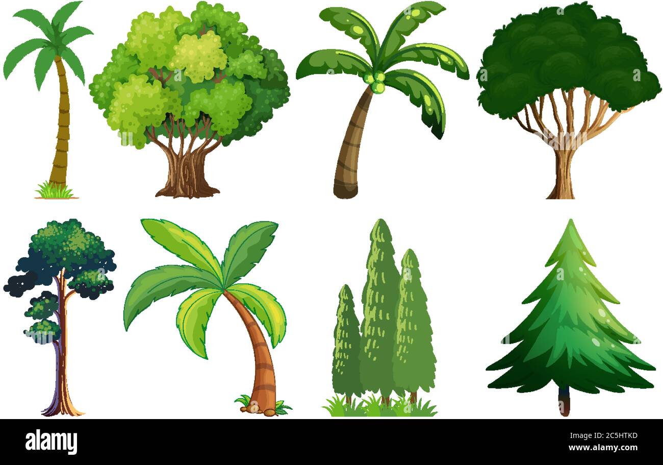 Set of variety plants and trees illustration Stock Vector Image & Art ...