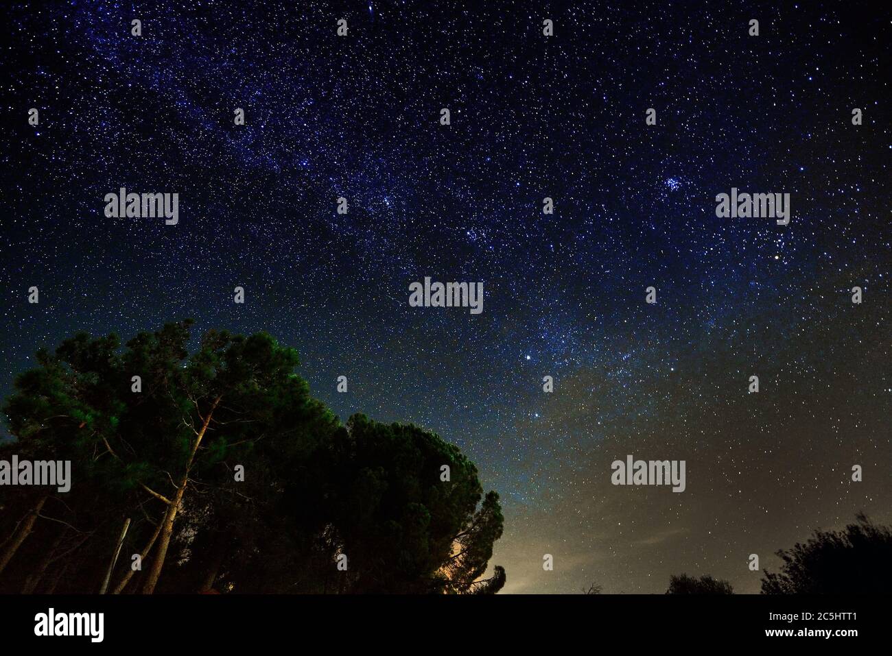 Milky way over trees hi-res stock photography and images - Alamy