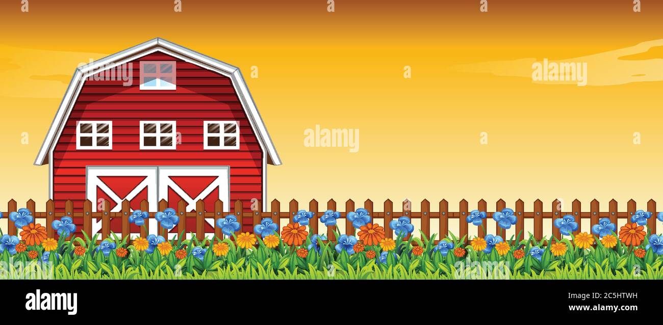 Flower farm in sunset sky scene with barn background illustration Stock ...
