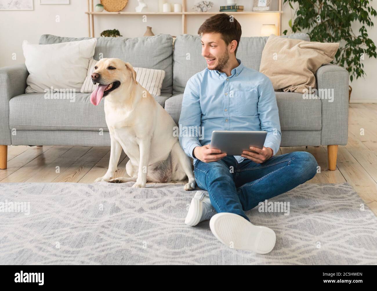 Digital device golden retriever dog with digital tablet hi-res stock ...