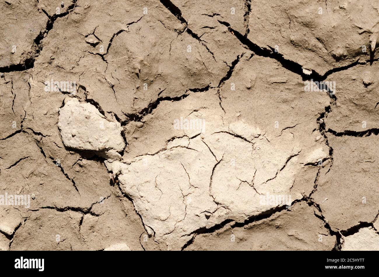 Dry and cracked muddy ground due to hot temperature, drought concept ...