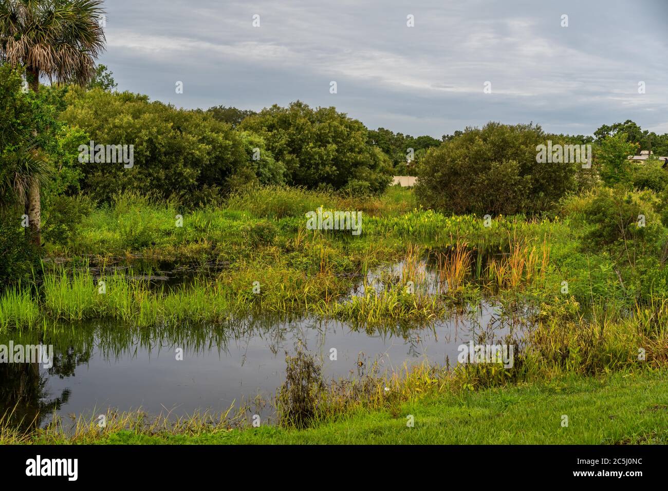 A small wildlife reserve in a local community where you can watch the ...