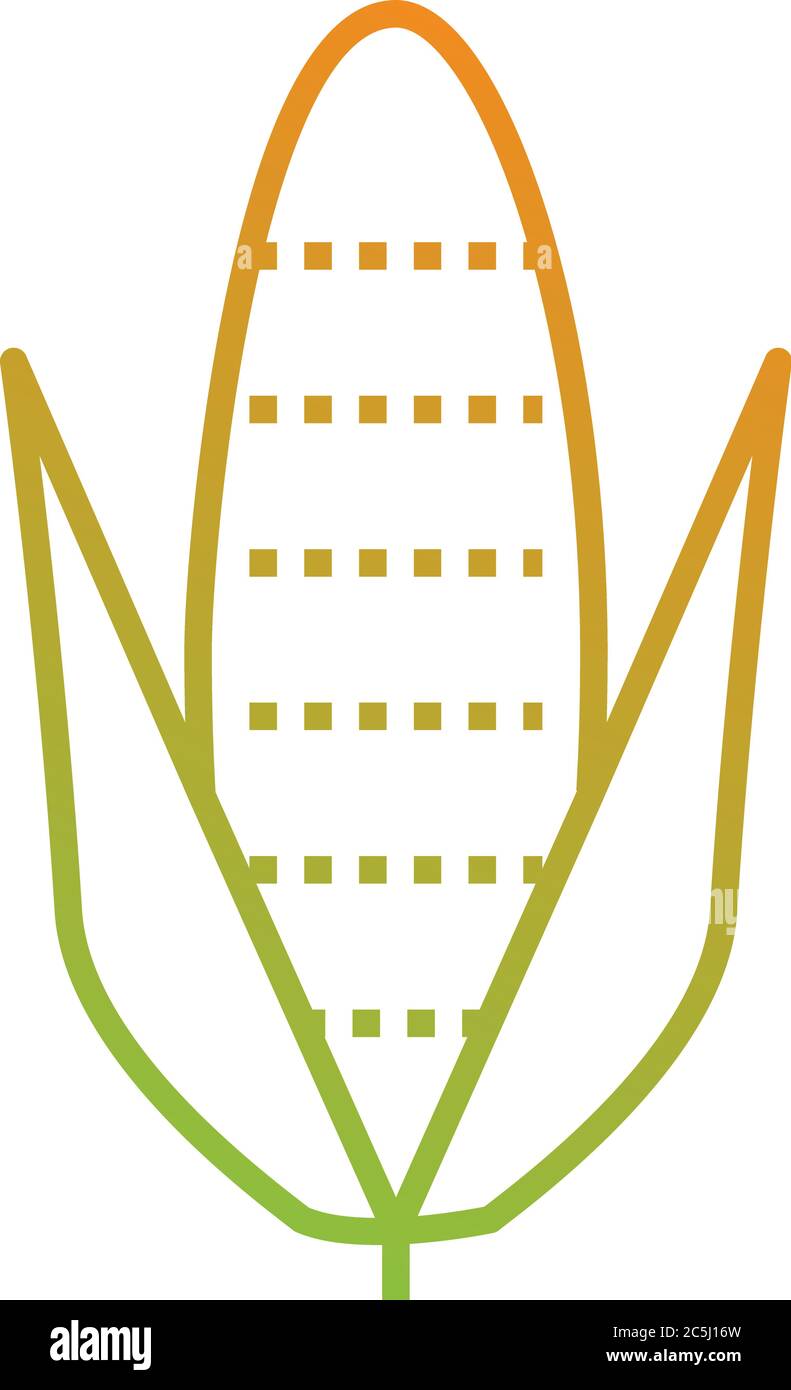 Unique Corn Vector Line Icon Stock Vector Image & Art - Alamy