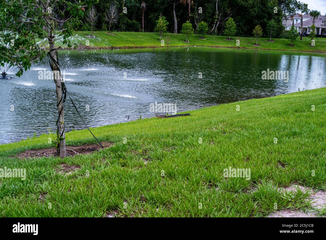 Florida alligator bird hi-res stock photography and images - Alamy