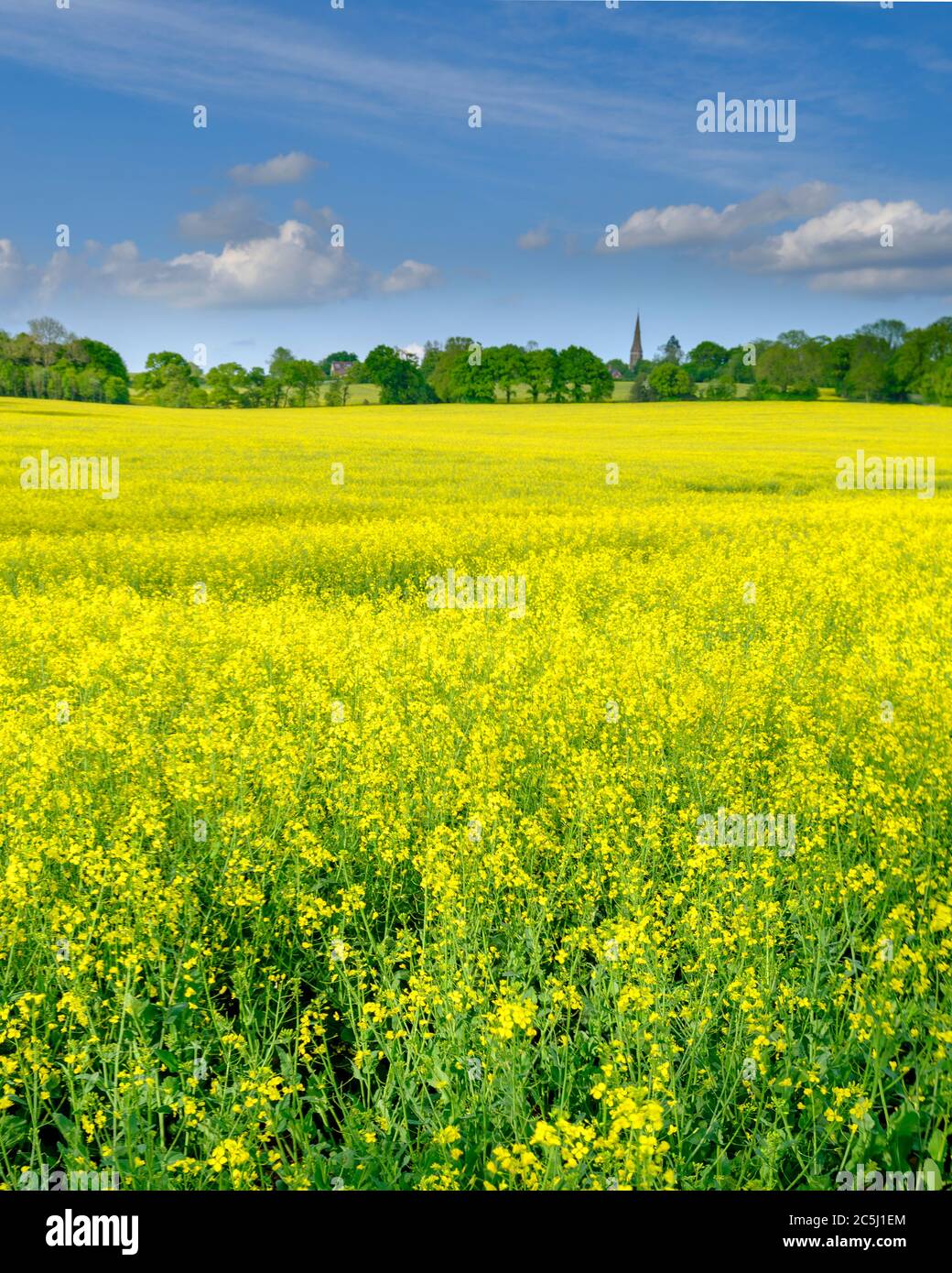 Privett park hi-res stock photography and images - Alamy