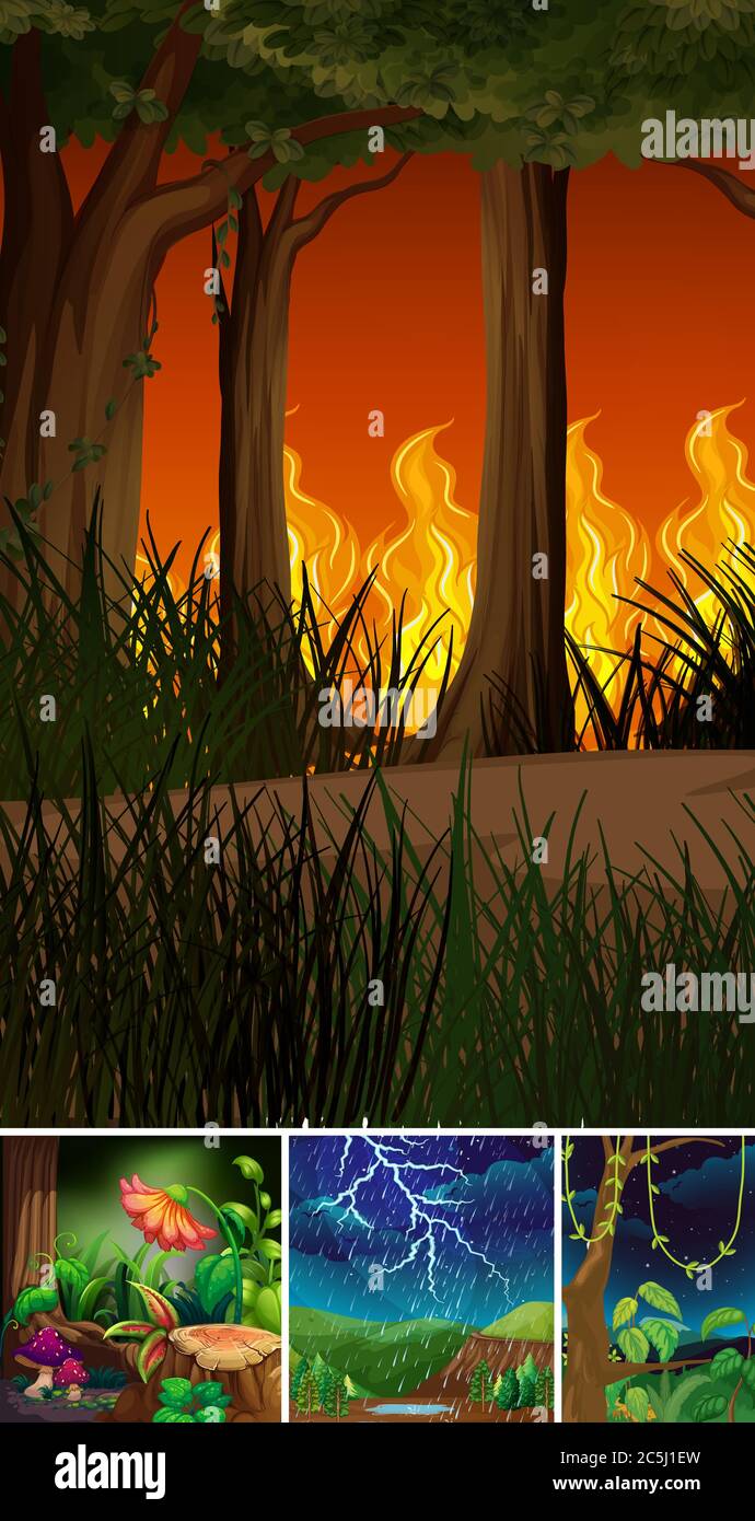 Four different natural disaster scenes of forest cartoon style ...