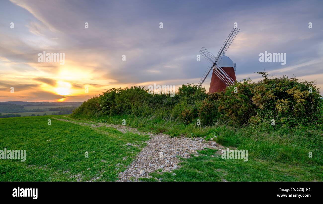 Halnaker tunnel spring hi-res stock photography and images - Alamy