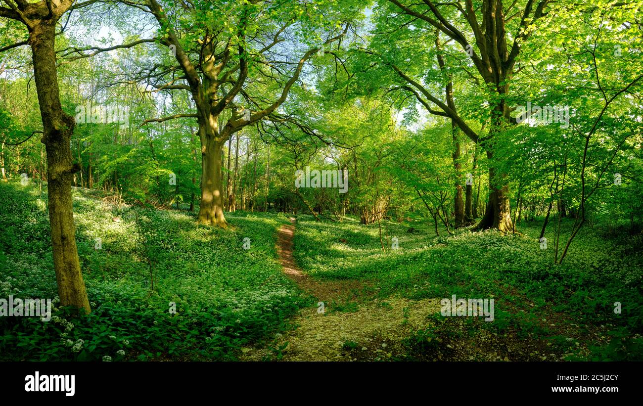 Privett park hi-res stock photography and images - Alamy