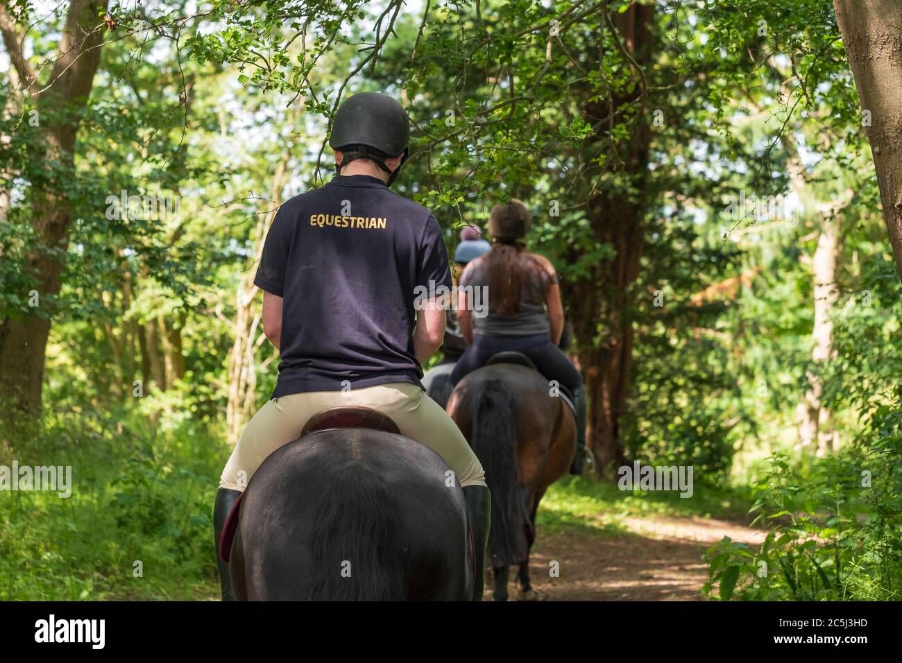 rio of young people seen riding horses and a pony through dense ...