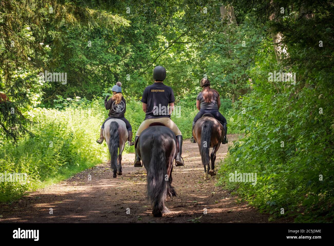 rio of young people seen riding horses and a pony through dense ...