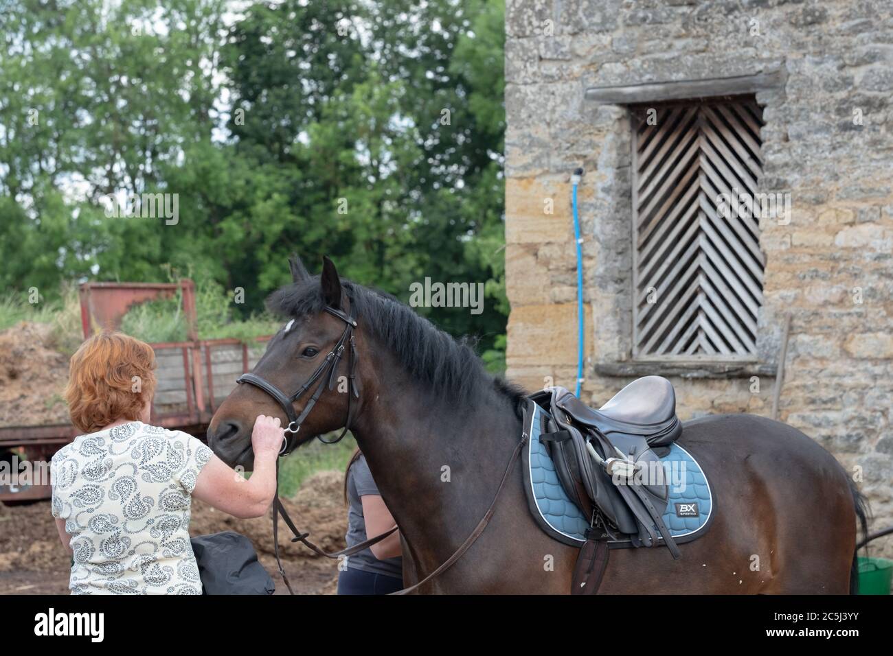 Young female student seen preparing to ride a New Forest pony at a ...
