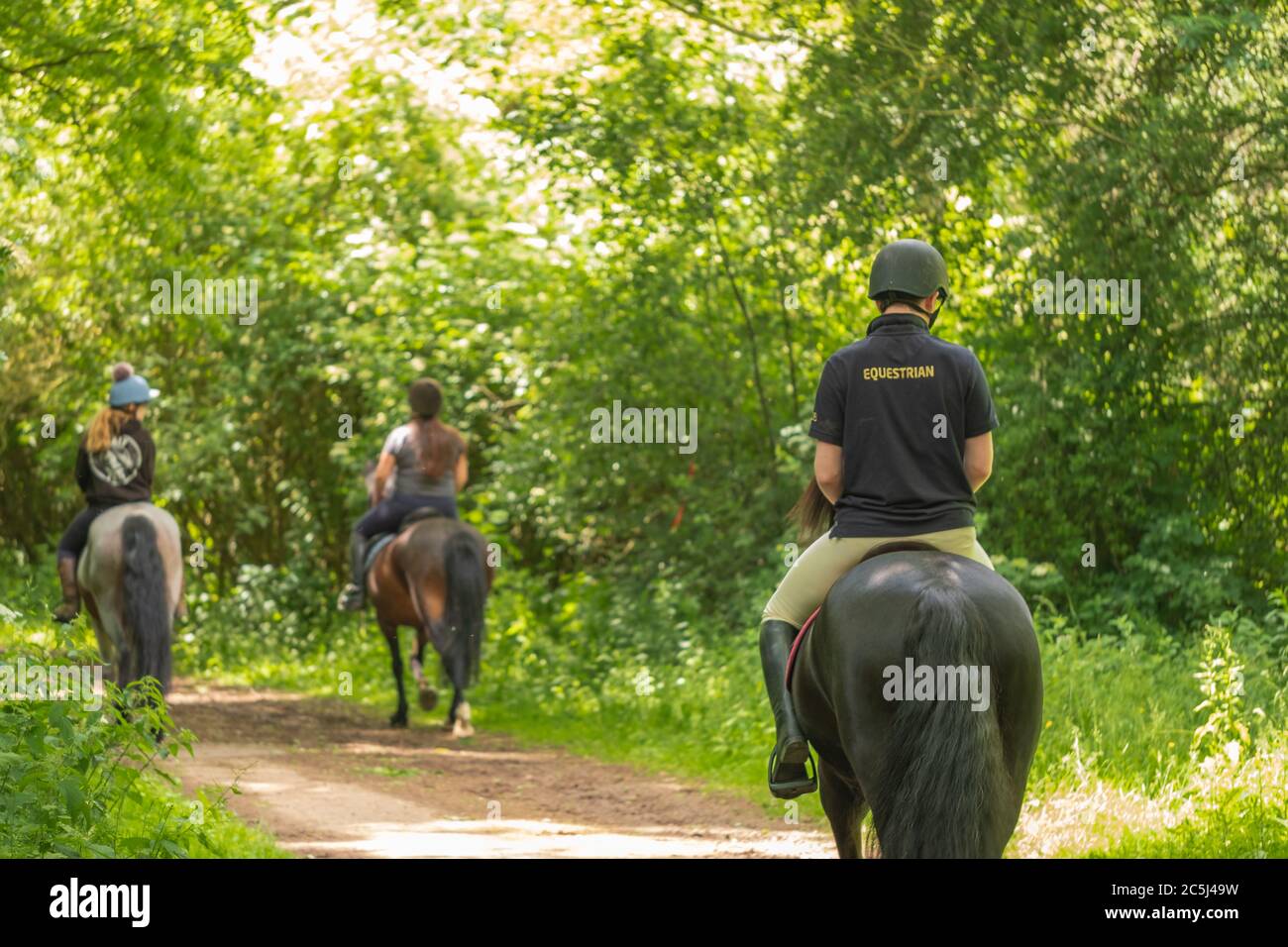 Trio of young people seen riding horses and a pony through dense ...