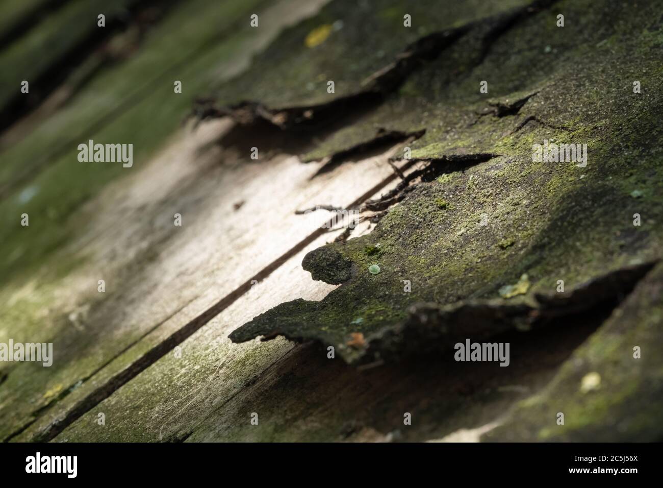 Decayed timber frame hi-res stock photography and images - Alamy