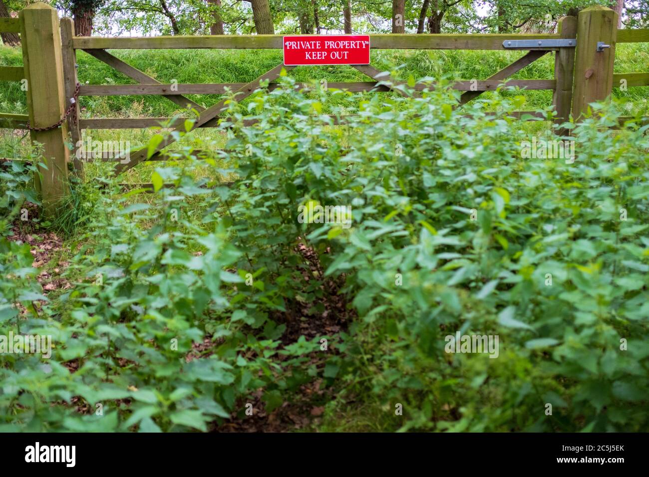 Warning sign with nettles hi-res stock photography and images - Alamy