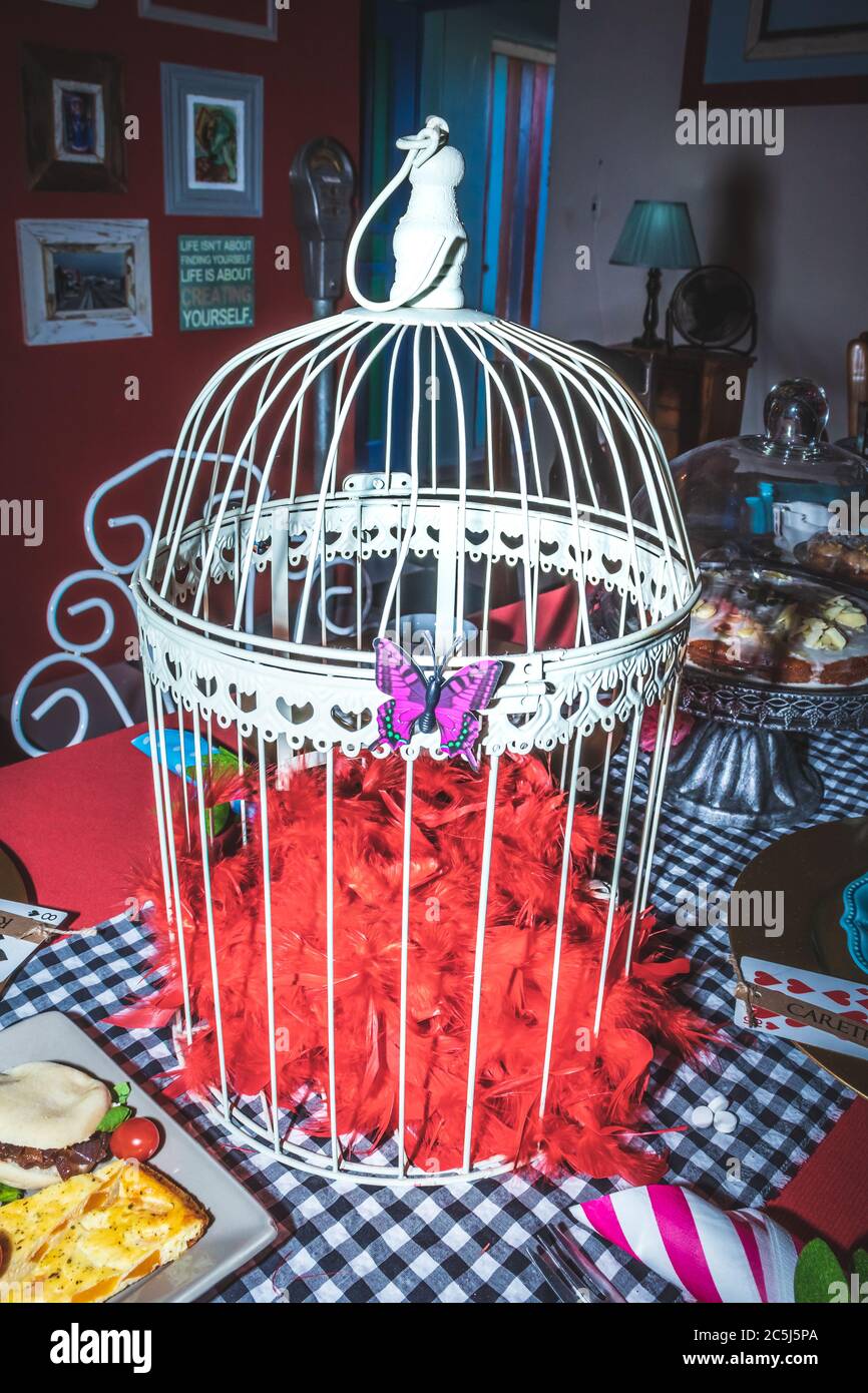 How to setup cage hi-res stock photography and images - Alamy