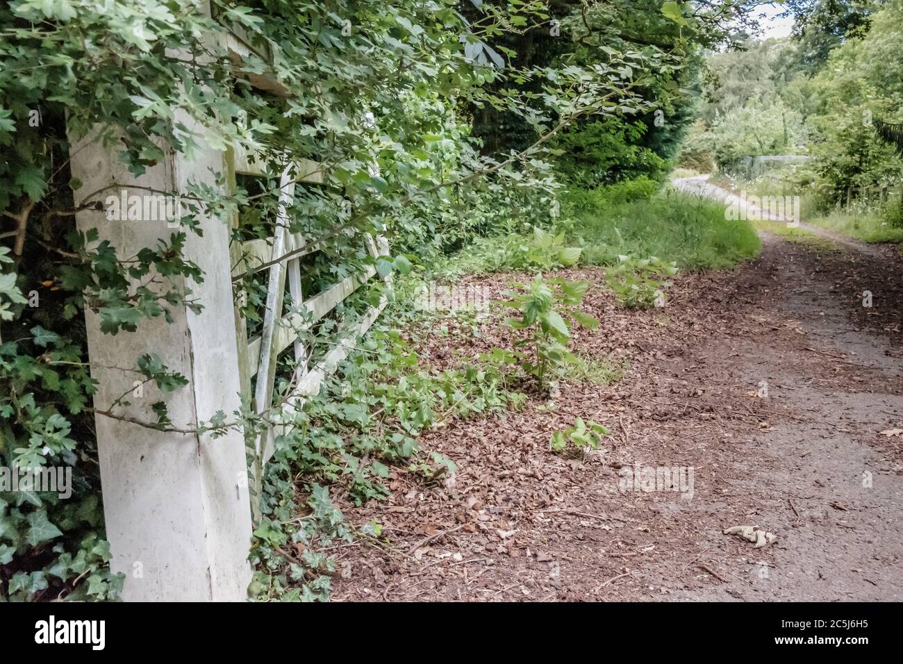 Abandoned white painted wooden gate seen in the open position, leading ...