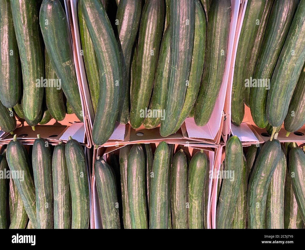 Close up of isolated fresh raw cucumbers in cardboard boxes on german ...