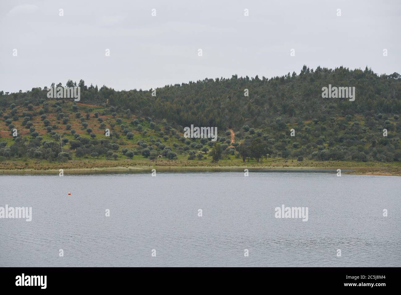 Landscape in lake reservoir dam of Alqueva with trees in Alentejo ...