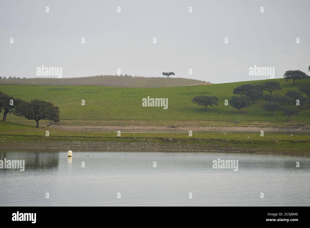 Landscape in lake reservoir dam of Alqueva with trees in Alentejo ...