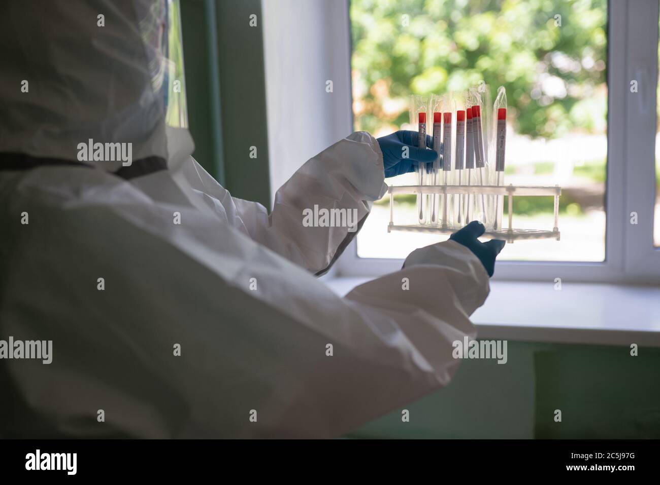 Doctor holds system test for virus analysis. Rear view of medical ...