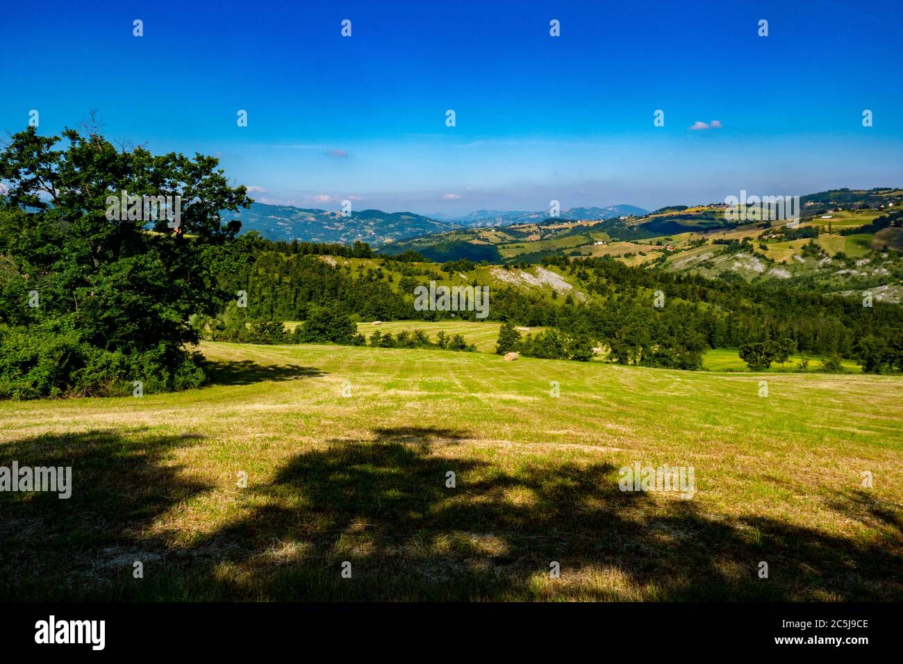 Italian countryside with fields, trees, grass, and meadows around ...