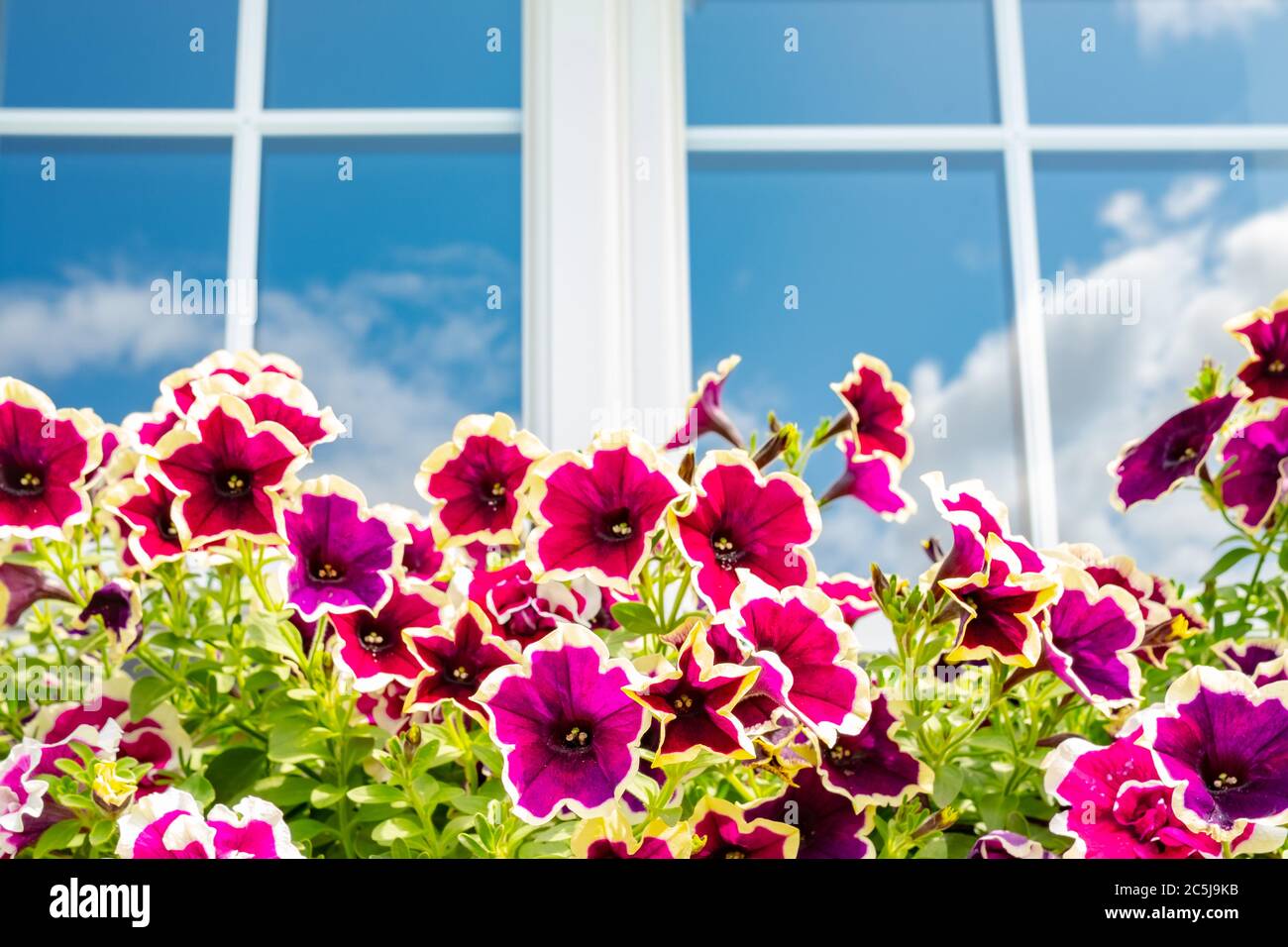 Annex neighborhood hi-res stock photography and images - Alamy