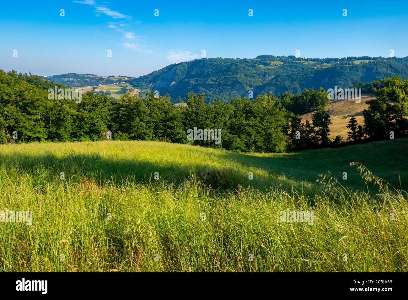 Italian countryside with fields, trees, grass, and meadows around ...