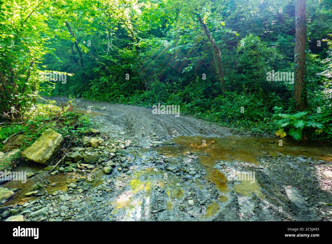 A little river streams in an italian mountains wood, Serramazzoni ...
