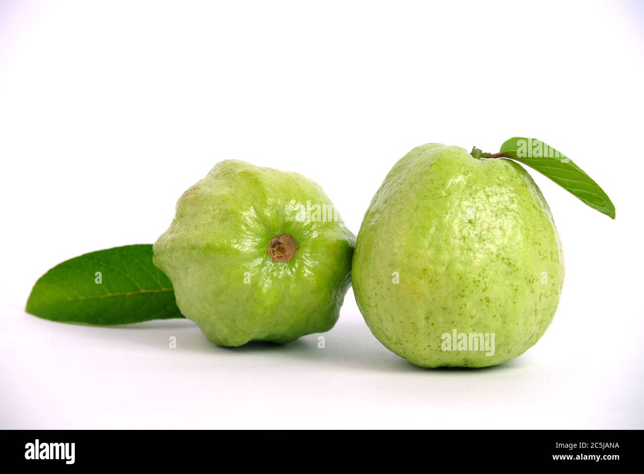 Two green crystal guava fruit with leaves isolated on white background ...