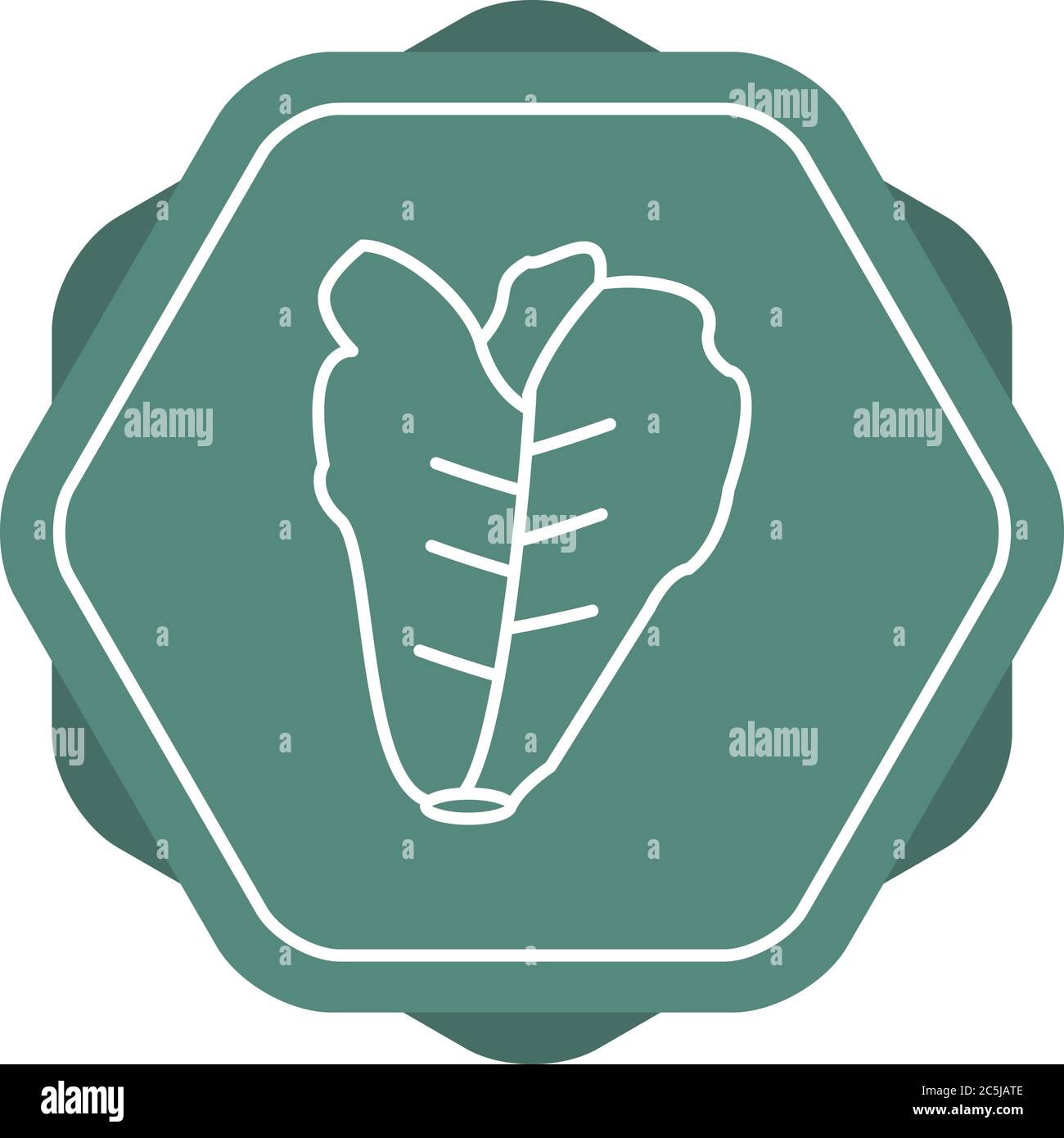 Unique Lettuce Vector Line Icon Stock Vector Image & Art - Alamy