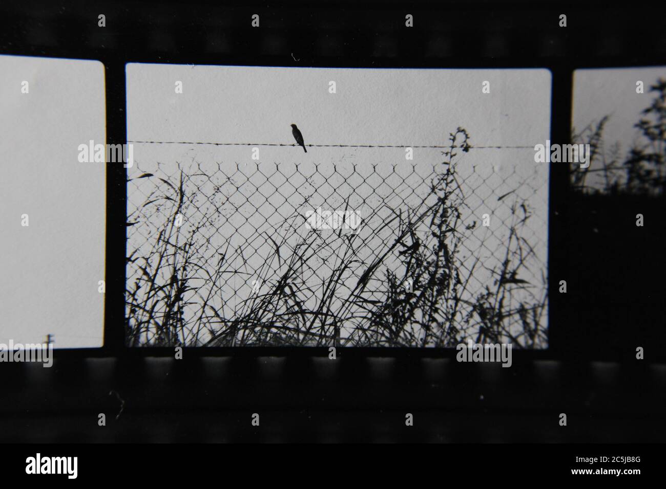 Fine 70s vintage contact print black and white photography of a chain ...