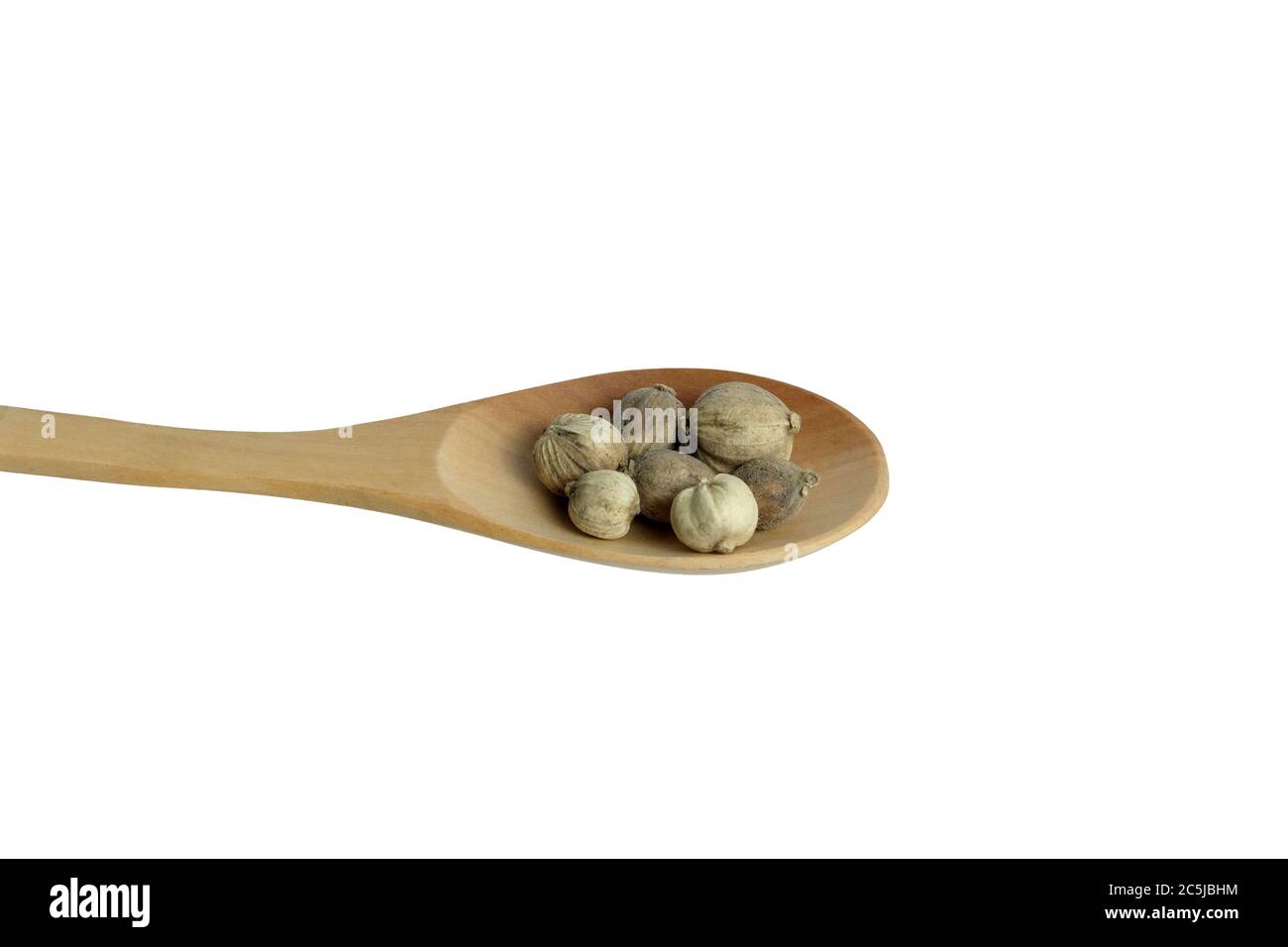 Dried Cardamom / cardomum / Amomum testaceum on wooden spoon, isolated ...