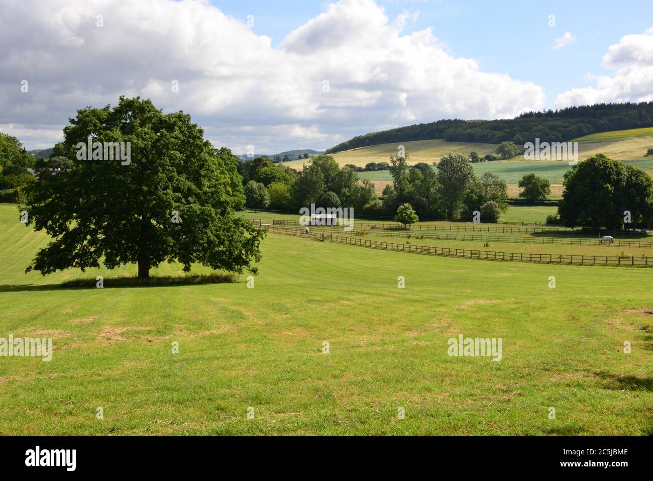 Horse rolling stable hi-res stock photography and images - Alamy