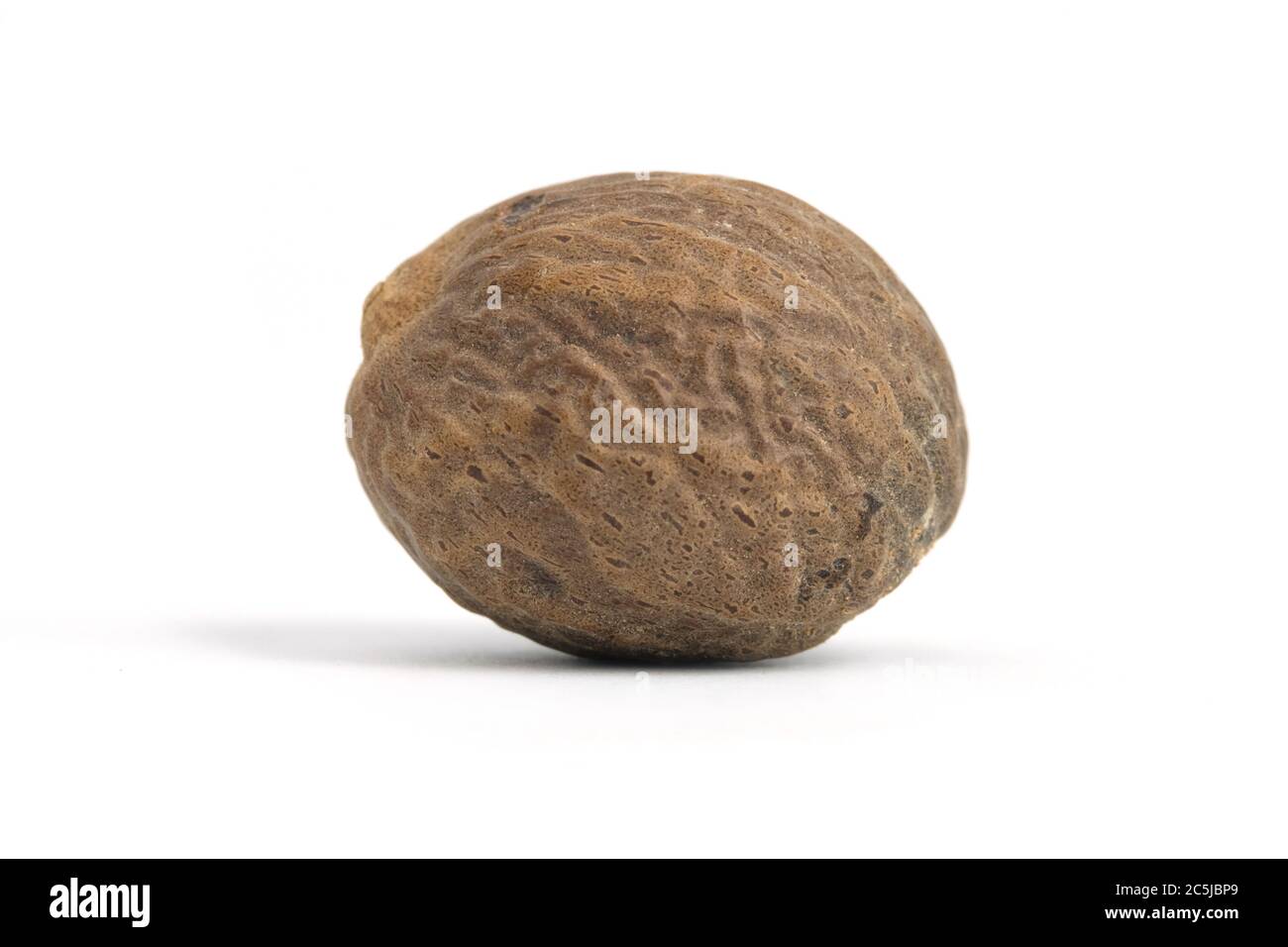 Closeup single nutmeg isolated on a white background with studio ...