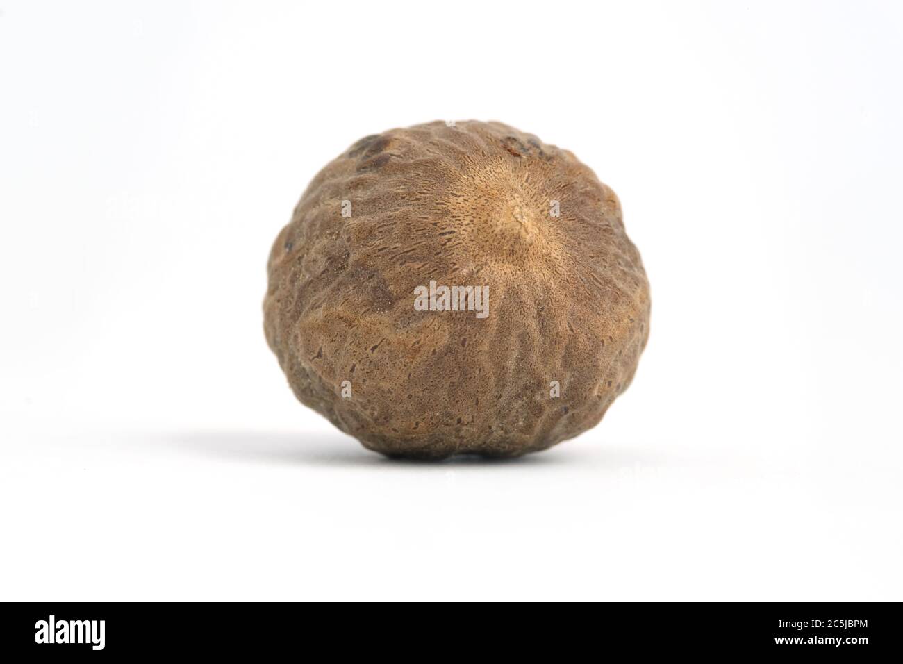 Closeup single nutmeg isolated on a white background with studio ...